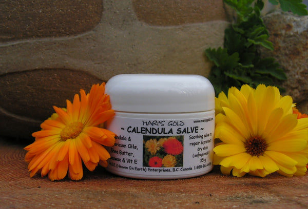 Calendula Salve - 35 g (1oz) – Mari's Gold Aromatherapy